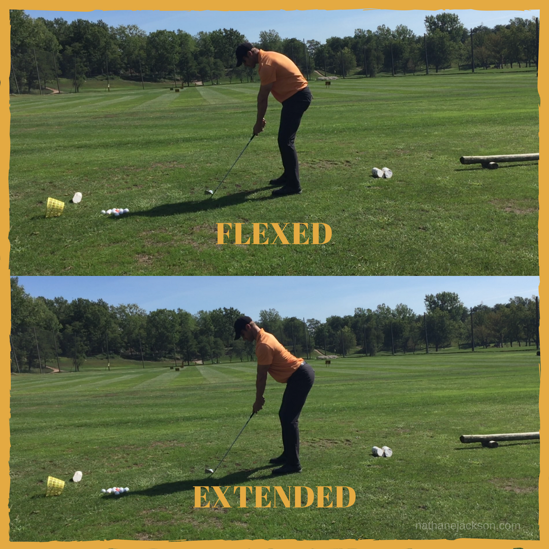 4 CORE EXERCISES EVERY GOLFER NEEDS TO IMPROVE PERFORMANCE • Nathane ...